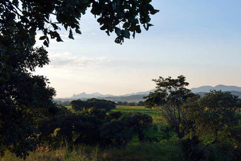 Tengenenge - das Künstlerdorf in Simbabwe | SteinSkulpturen.eu